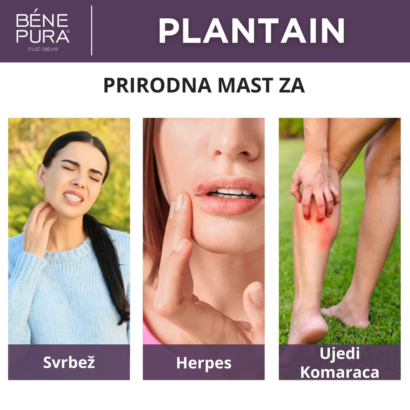 ᐉ Mast za Svrbež s Trputcem - 40ml - Benepura.hr